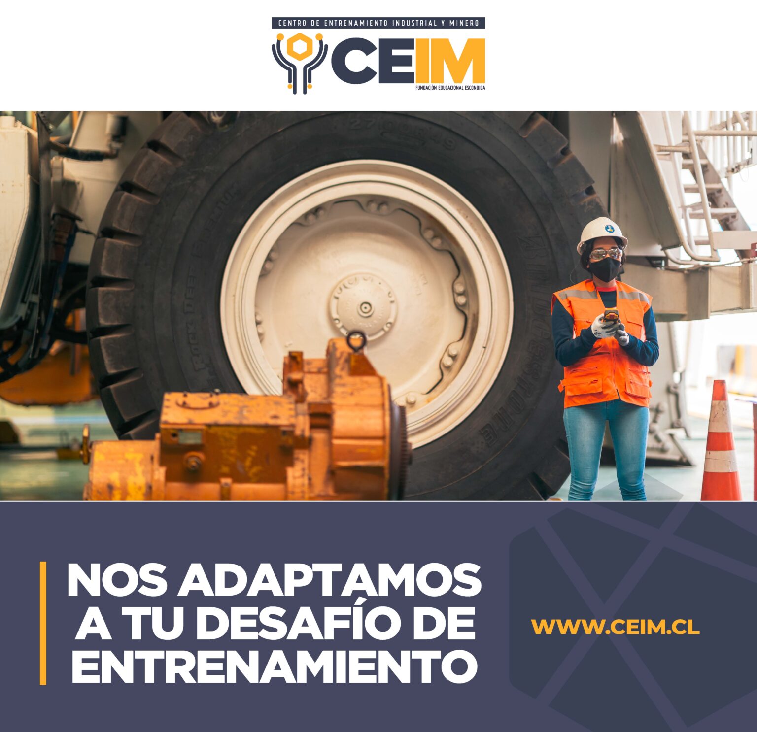 Cursos y programas semipresenciales – Ceim