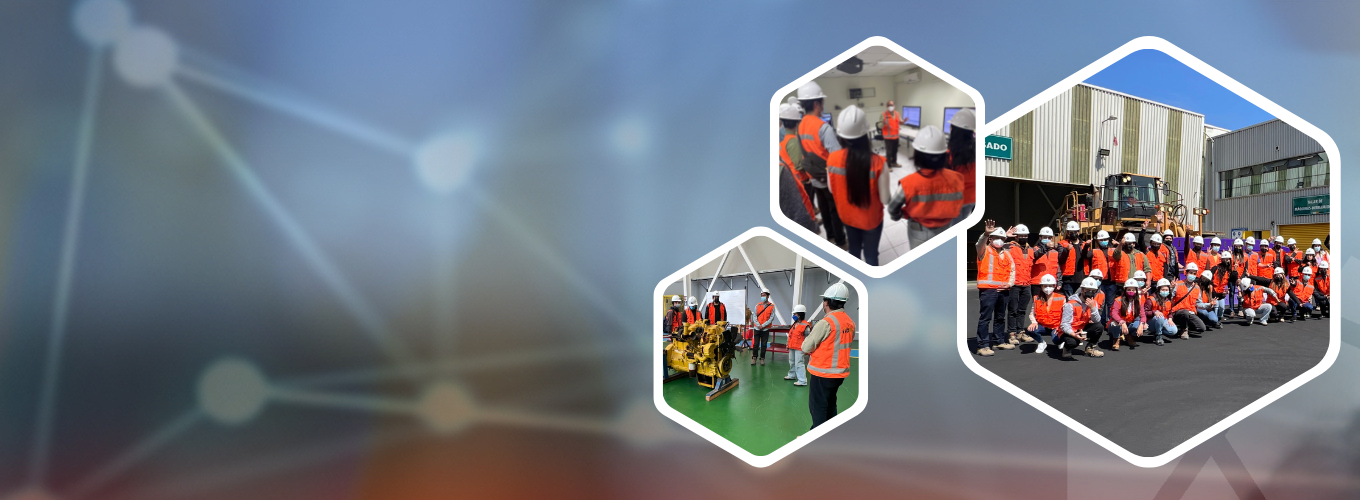 Ceim – centro minero